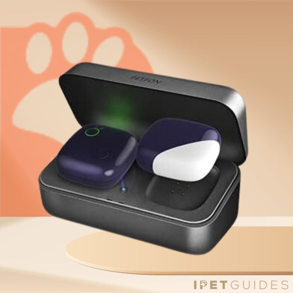 10 Best Dog GPS Trackers & Pet Tracking Devices [2025 Upd.]