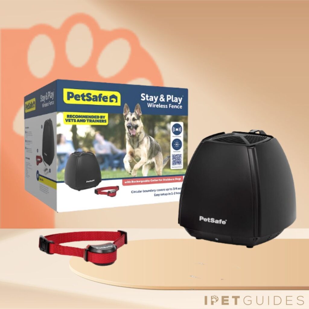 13 Best Wireless & Invisible Dog Fences [Updated in 2025]