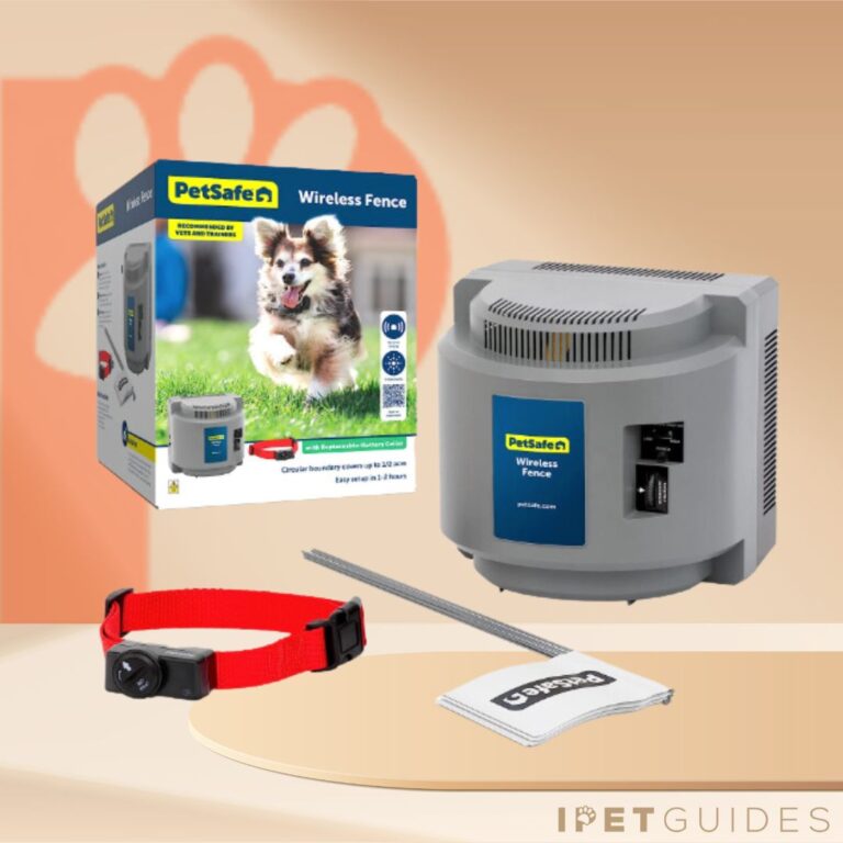 13 Best Wireless & Invisible Dog Fences [Updated in 2025]