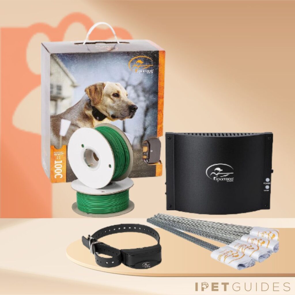 13 Best Wireless & Invisible Dog Fences [Updated in 2025]