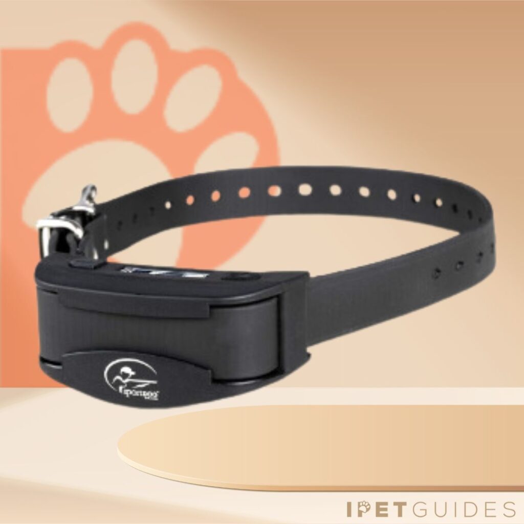 7 Best Dog Bark Collars That Are Humane [Reviewed in 2026]