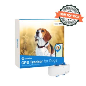 7 Best GPS Trackers for Small Dog Breeds [Reviewed in 2025]