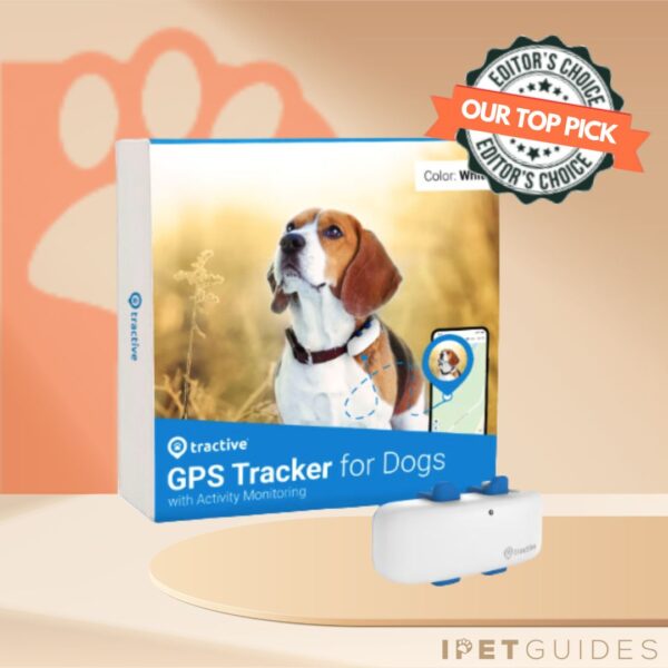 7 Best GPS Trackers for Small Dog Breeds [Reviewed in 2025]