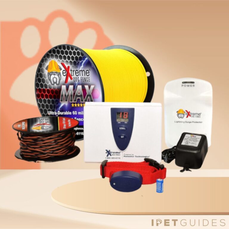 13 Best Wireless & Invisible Dog Fences [Updated in 2025]