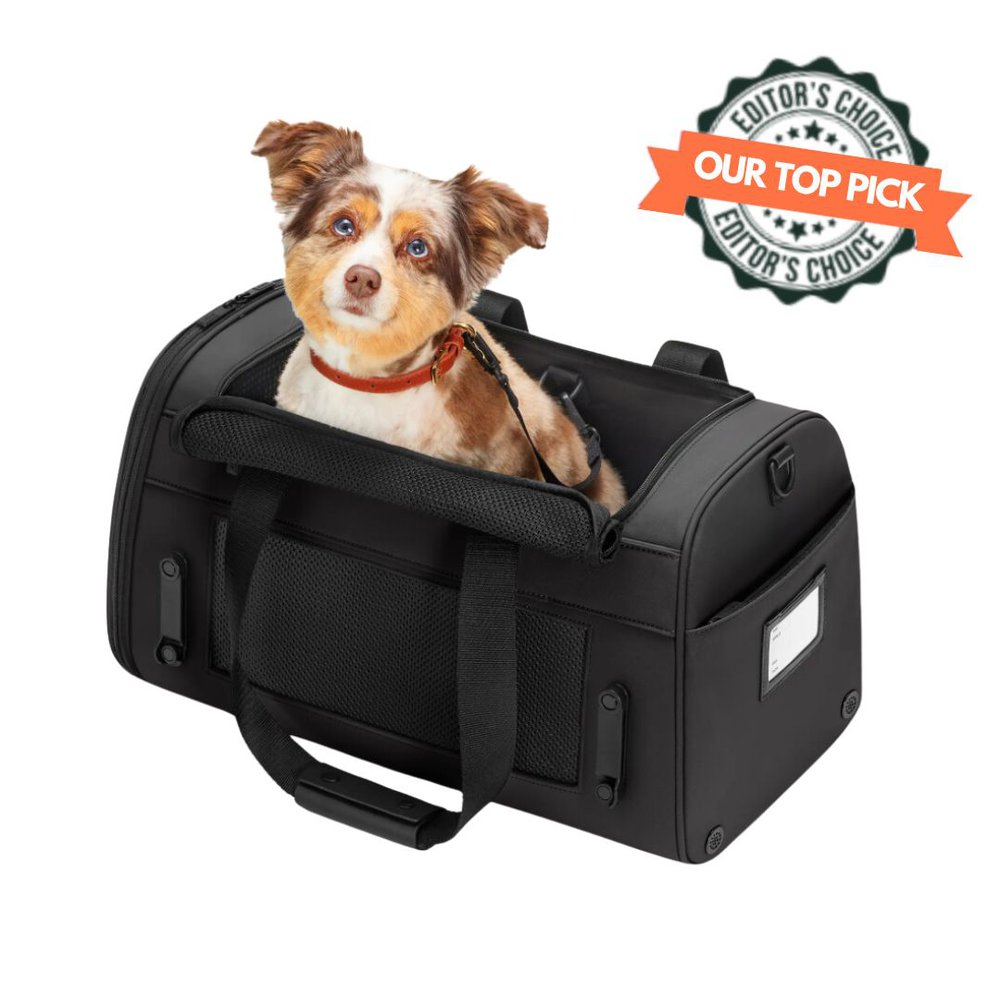 9 Best Airline-Approved Dog Carriers (2026) TSA Compliant
