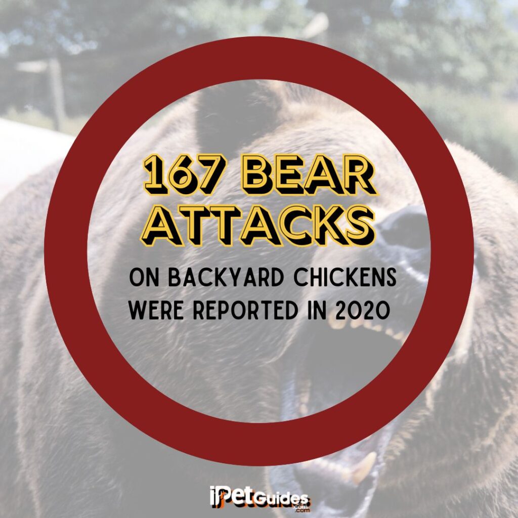 Bear Attack Statistics & Facts in 2025 (Worldwide)