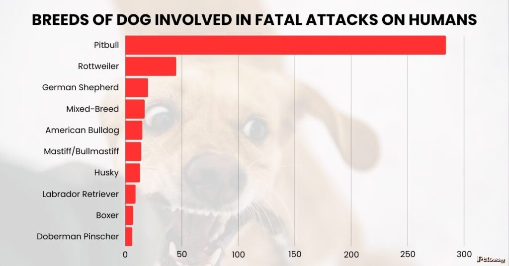 Dog Attack & Bite Statistics By Breed in 2026