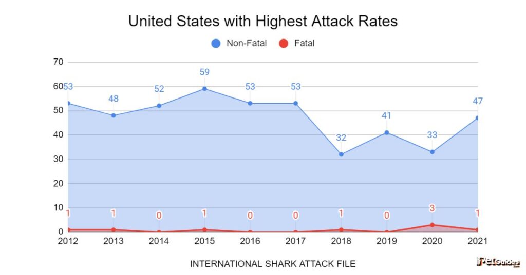 Shark Attack Statistics: How Many People Die Each Year?