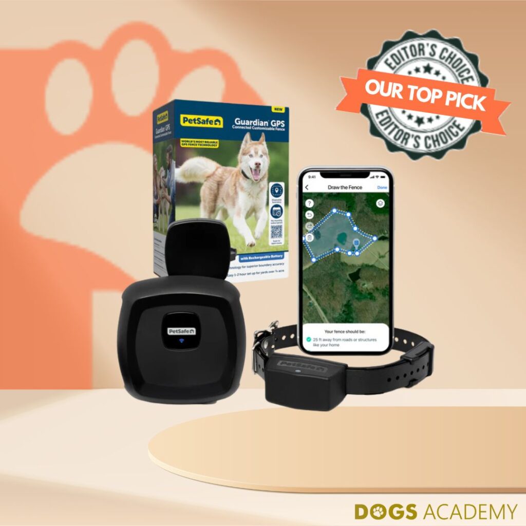 5 Best No Monthly Fee Dog GPS Trackers: Without Subscription