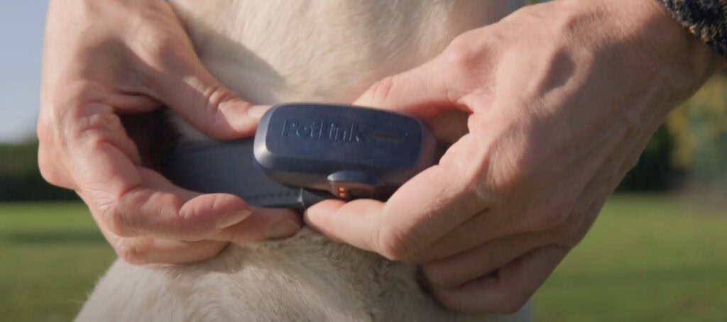 PetLink GPS Review (Upd. in 2026) Is It Worth Buying or Not?